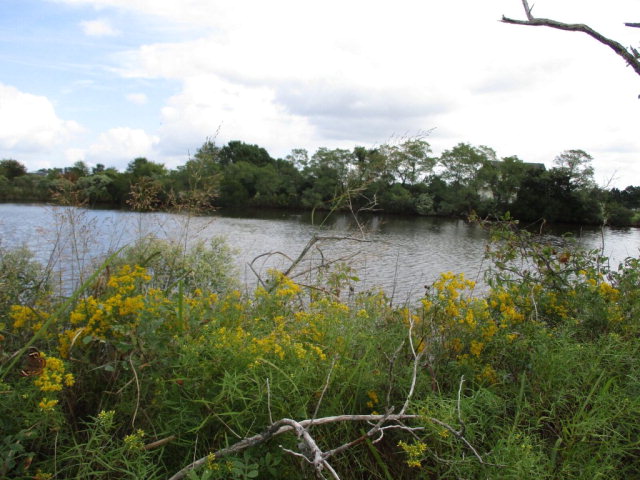 Lewin & Carr | Deeded Water Access Properties